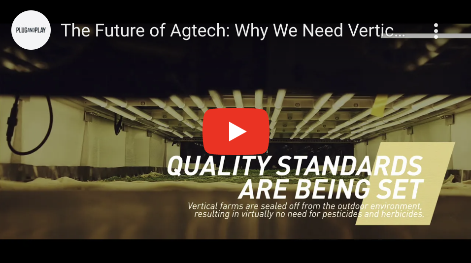 Indoor Vertical Farming: The New Era of Agriculture